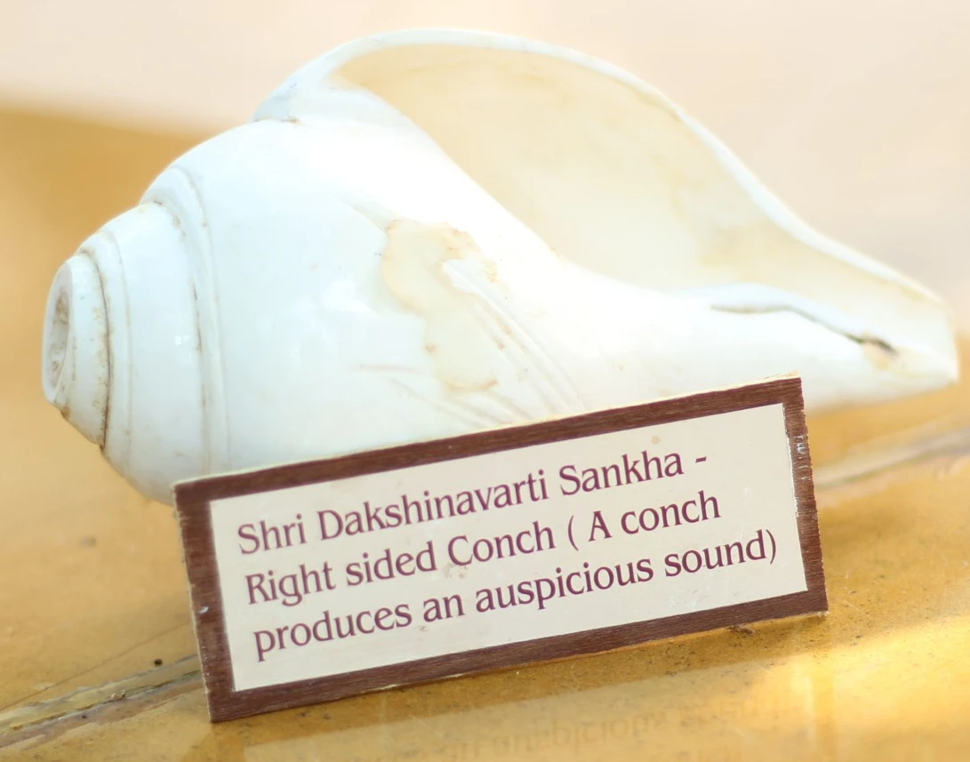 sankha